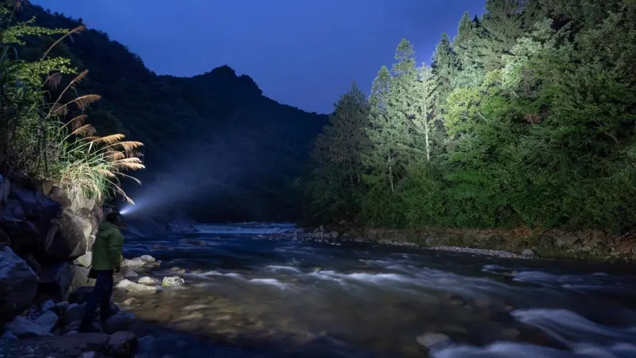 Best Night Fishing Lights: Bank to Night Fishing Guide | Olight